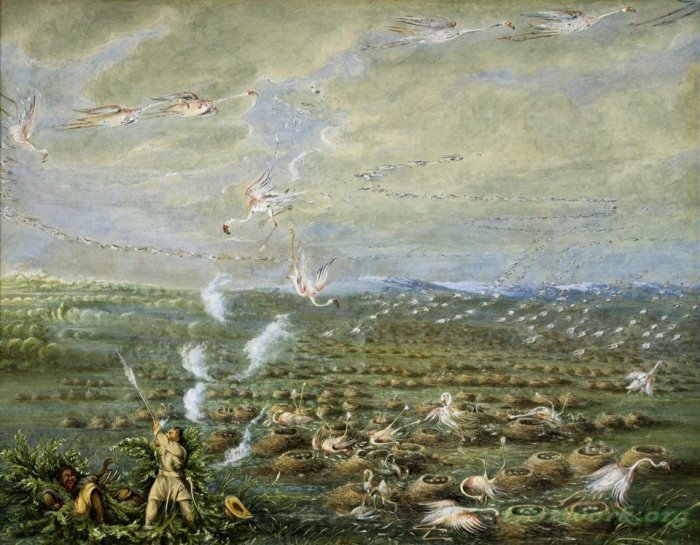 George Catlin Flamingo Shooting in South America Painting - iArtWork.org